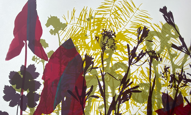 silkscreen prints angela hall | Saltbox gallery